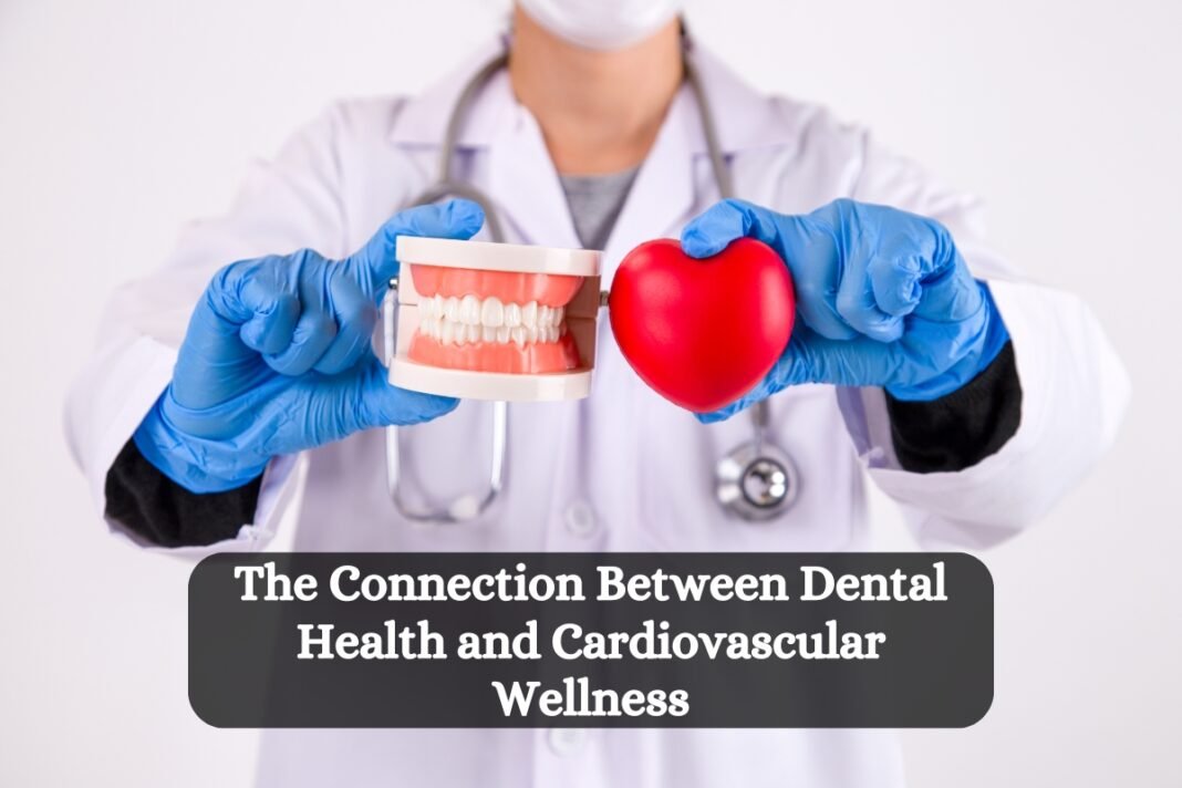 The Connection Between Dental Health And Cardiovascular Wellness